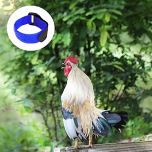 Tkocisa 8 Pack No Crow Rooster Collars, Chicken Collar Anti-Hook Noise Free Neckband No Crow Noise Neck Belt for Roosters - Prevent Chickens from Screaming, Disturbing Neighbors