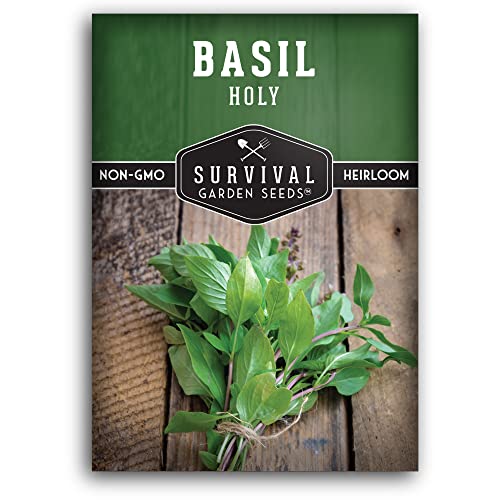 Survival Garden Seeds - Holy Basil Seed for Planting - Packet with Instructions to Plant and Grow The Indian Sacred Herb Tulsi in Your Home Vegetable Garden - Non-GMO Heirloom Variety