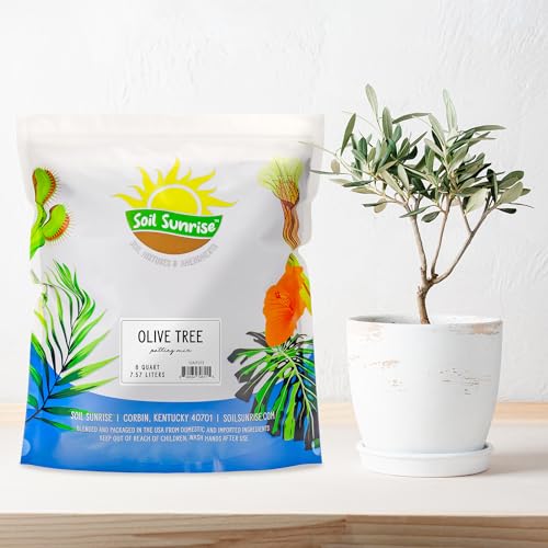 Olive Tree Potting Soil Mix (8 Quarts), for Planting, Repotting, and Growing Olive Bushes/Plants