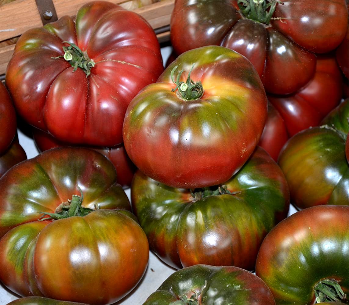 Black Krim - Russian Black Krim Heirloom USA Grown Tomato Seeds 30+