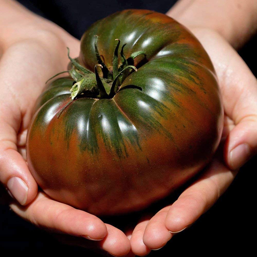 Black Krim - Russian Black Krim Heirloom USA Grown Tomato Seeds 30+