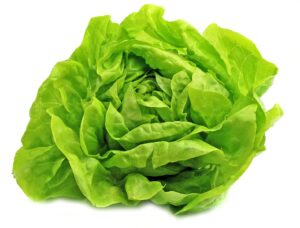 buttercrunch lettuce seeds - usa grown (1,000+ seeds)