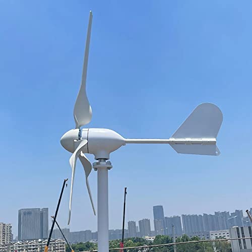 FLTXNY POWER Wind Turbine 1000W 12V Horizontal Wind Generator Kits 3 Blades with MPPT Charge Controller Free Energy