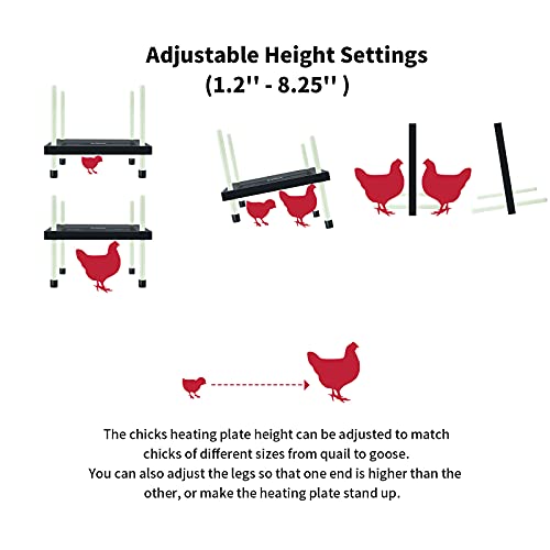 Chicks Heating Plate, Briidea 12'' *12'' Chick Brooders with Adjustable Height, Keeps Up to 20 Chicks Warm, 48W, Black