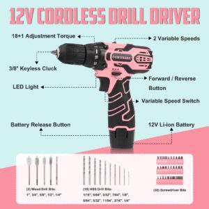 COMOWARE 120 Pcs Home Tool Kit with Drill, 20V Power Drill Cordless Set with 2.0 Ah Li-ion Battery & Charger, 25+1 Clutch, Tool Sets for Homeowners, Household Tool Set for Garden Office Home Repair