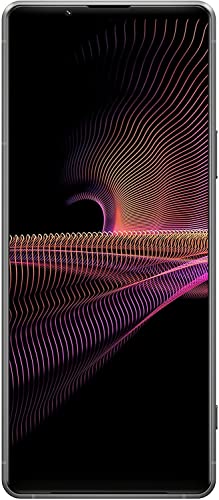 Sony Xperia 1 III XQ-BC72 5G Dual 256GB 12GB RAM Factory Unlocked (GSM Only | No CDMA - not Compatible with Verizon/Sprint) International Version - Frosted Gray