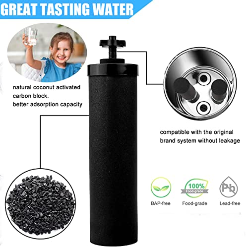 Water Filter System Compatible with Berkeyy, 4 Pack Black Elements Filters Fit Kingg, Big Series Water Filters Replacement