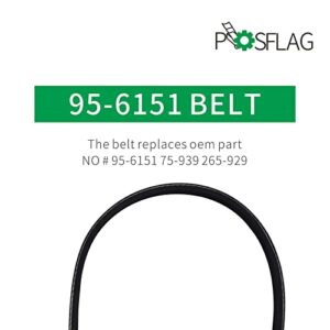 POSFLAG 99-9313 Snow Blower Paddles with 95-6151 Drive Belt Replaces 125-1128 55-9250 55-9251 88-0771 for Toro CCR 2400, CCR 2450, CCR 2450 GTS, CCR 3000, CCR 3600, CCR 3650, CCR 3650 GTS Snowthrowers