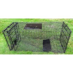 Humane Way Folding 42 Inch Live Humane Animal Trap - Safe Traps for All Animals - Dogs, Raccoons, Cats, Groundhogs, Opossums, Coyote, Bobcat - 42"x16"x18"