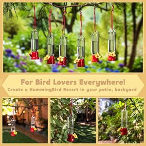 JOIEDOMI Set of 6 Mini Hummingbird Feeders with Hanging Wires, Transparent Outdoor Humming Bird Feeder Set with 3 Cleaning Brush for Patio, Outside, Lawn, Backyard, Garden, Easy to Clean