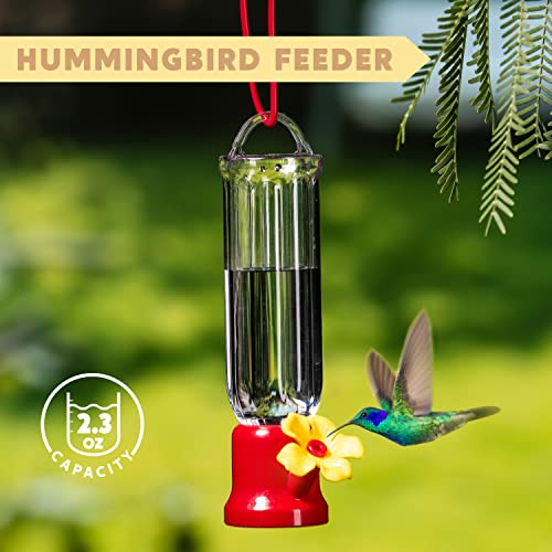 JOIEDOMI Set of 6 Mini Hummingbird Feeders with Hanging Wires, Transparent Outdoor Humming Bird Feeder Set with 3 Cleaning Brush for Patio, Outside, Lawn, Backyard, Garden, Easy to Clean