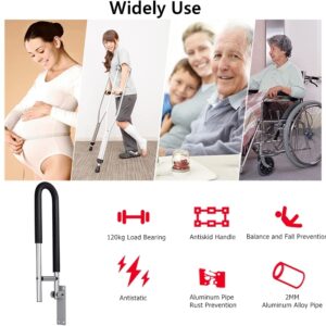 Tuntrol 23.6 inch Foldable Handrail Grab Bars, Wall Mounted Toilet Safety Support for Handicap Elderly Seniors Disabled, Shower Bathroom Accessories…