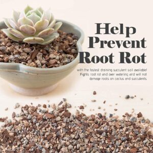 Bonsai Jack Succulent and Cactus Soil - Jacks Gritty Mix - 1 Gallon – Fast Draining – Fight Root Rot – Optimized pH …