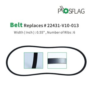 POSFLAG HS520 Paddles with 76322-V10-020 Scraper 22431-V10-013 Drive Belt Replaces 06720-V10-020, 72427-V10-020 for Honda HS520A, HS520 AS, HS520 ASA, HS720 AA, HS720 AMA 20" Snow Blowers