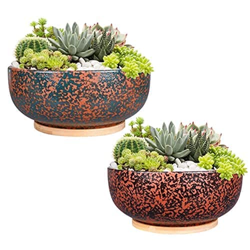 Fivepot 10 Inch Terracotta Succulent Planter Pot with Drainage Hole and Bamboo Tray Round Shallow Bonsai Pot for Indoor Plants