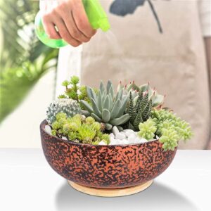 Fivepot 10 Inch Terracotta Succulent Planter Pot with Drainage Hole and Bamboo Tray Round Shallow Bonsai Pot for Indoor Plants