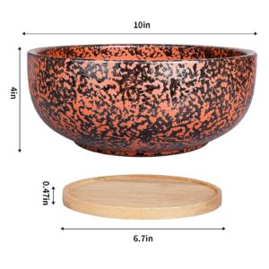 Fivepot 10 Inch Terracotta Succulent Planter Pot with Drainage Hole and Bamboo Tray Round Shallow Bonsai Pot for Indoor Plants