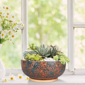 Fivepot 10 Inch Terracotta Succulent Planter Pot with Drainage Hole and Bamboo Tray Round Shallow Bonsai Pot for Indoor Plants