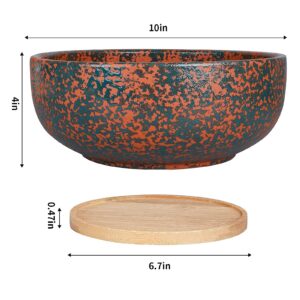 Fivepot 10 Inch Terracotta Succulent Planter Pot with Drainage Hole and Bamboo Tray Round Shallow Bonsai Pot for Indoor Plants