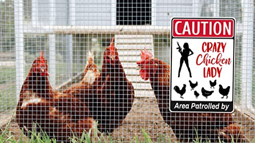 Bestylez Area Patrolled by Chicken Lady - Crazy Chicken Lovers Gag Gifts - Funny Farm Yard Fence Chicken Coop Caution Sign Outdoor Decor 12" * 8" (052)