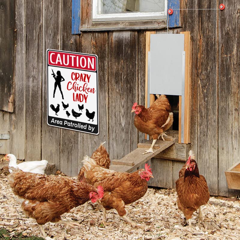 Bestylez Area Patrolled by Chicken Lady - Crazy Chicken Lovers Gag Gifts - Funny Farm Yard Fence Chicken Coop Caution Sign Outdoor Decor 12" * 8" (052)