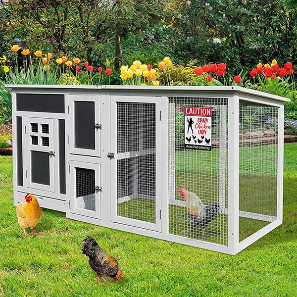 Bestylez Area Patrolled by Chicken Lady - Crazy Chicken Lovers Gag Gifts - Funny Farm Yard Fence Chicken Coop Caution Sign Outdoor Decor 12" * 8" (052)