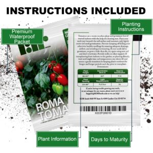 300+ Roma Tomato Seeds - Heirloom Non-GMO USA Grown Premium Seeds for Planting by RDR Seeds