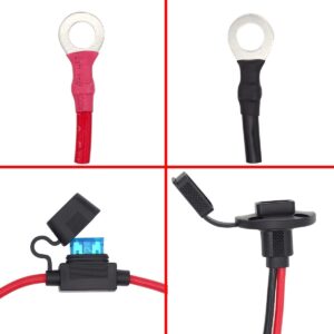 Billion wealth 3.3 Feet 10 AWG SAE Power Socket Sidewall Port to O Ring Connecters Extension Cable Connector with 10A 15A 20A 25A 30A Fuse Compatible with Solar Generator Battery Charger