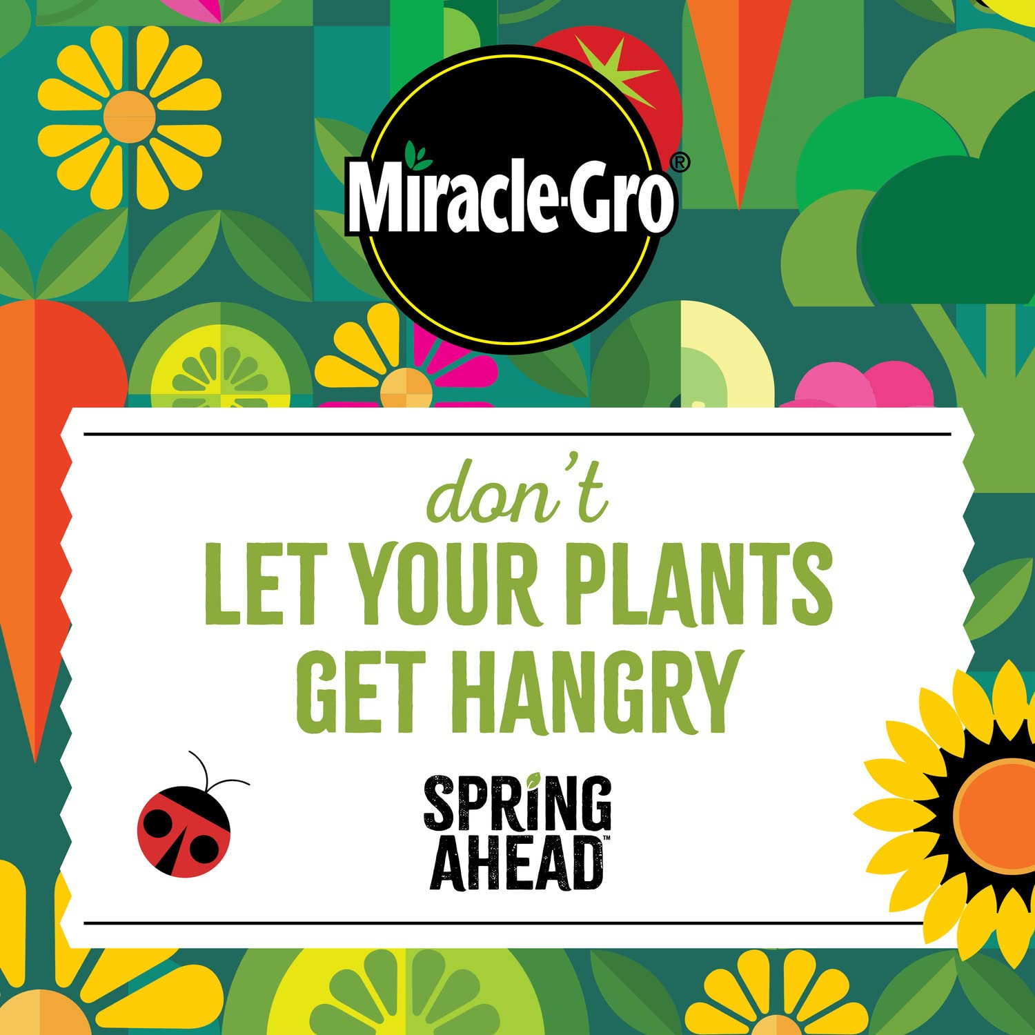 Miracle-Gro Spring Ahead - Granular Plant Food for All Plants, 3 lbs.