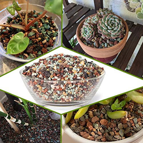 Succulent Pots, 10 Inch Large Succulent Planters with Stand - Ceramic Bonsai Pot with Drainage for Indoor Plants Cactus Flower Planter Pot Plus Succulent Planting Tools Set & 2.2lb Mix Pebbles