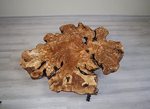 Live Edge Olive Tree Root Amazing Naturally Form Wood Slab, Big Coffee Table 81 X 64 cm (Handmade)