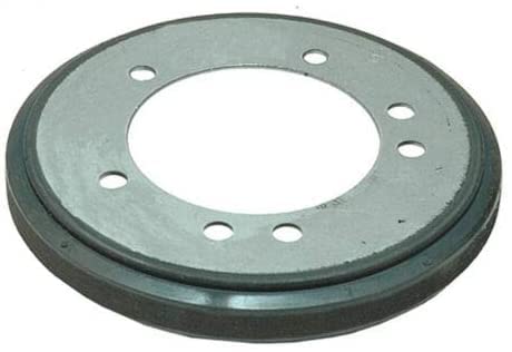 fascinatte Friction Drive Disc for Ariens Snowblower 04743700, 00170800, 00300300, 1720859,AM122115,741316