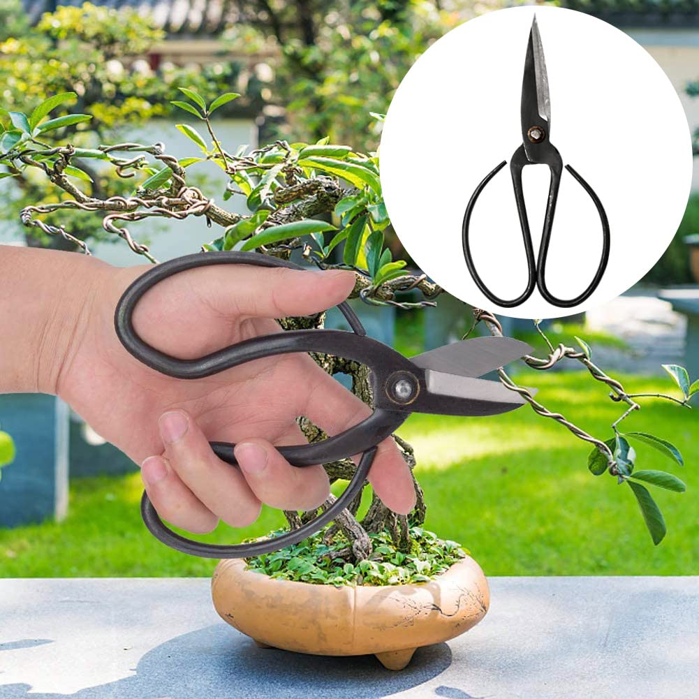 BUDDE Bonsai Tree Kit Bonsai Tools Set Succulent Kit 21 PCS Garden Hand Tool Set Include Pruning Shears, Carbon Steel Bonsai Scissors, Perfect Bonsai Starter Kit Gardening Trimming Tools(Green)