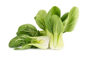 1000 bok choy seeds - shanghai green stem - heirloom non-gmo vegetable seeds for planting - aka pak choi, pok choi, chinese cabbage