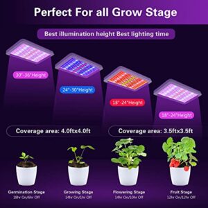 LUYIMIN 1000W LED Grow Light, 261PCS LEDs Dual Switch Full Spectrum Plant Light, Grow Lights for Indoor Hydroponic Plants Veg Flower Greenhouse Growing Lamps, Double Chips