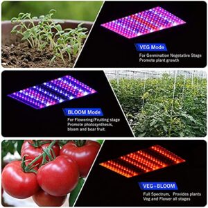 LUYIMIN 1000W LED Grow Light, 261PCS LEDs Dual Switch Full Spectrum Plant Light, Grow Lights for Indoor Hydroponic Plants Veg Flower Greenhouse Growing Lamps, Double Chips