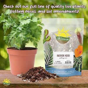 All-Purpose Bonsai Potting Mix (2 Quarts), All-Natural Organic Nutrient-Rich Bonsai Soil Mixture