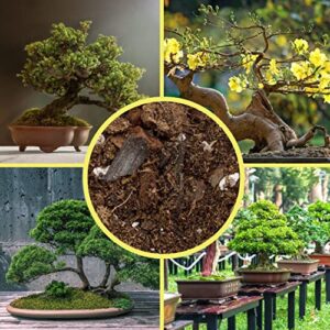 All-Purpose Bonsai Potting Mix (2 Quarts), All-Natural Organic Nutrient-Rich Bonsai Soil Mixture