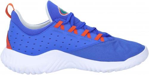 Florida Gators Team-Issued Blue Jordan Proto-Lyte Turf Shoes from the 2020 NCAA Season - Size 15 - Other College Game Used Items