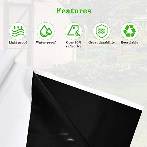 iPower 10 x 10 ft Black and White Panda Hydroponics Poly Film 5.5 Mil Highly Reflective, Waterproof Plastic Sheeting, for DIY Grow Rooms, 10 X 10ft, Greenhouse