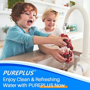 PUREPLUS 5 Micron 20" x 4.5" RFN20BB Whole House Iron & Manganese Reduce Water Filter Replacement Cartridge,1 Pack