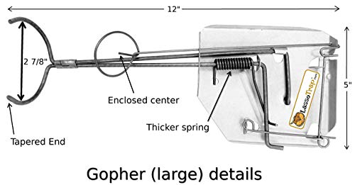 Gopher Trap (Pack of 2) LASSO TRAP Galvanized & Oil Hardened Steel//Super Cost-Effective, Reusable, & Durable Animal Trap Best in The Lawn, Yard, Garden, Farm, & All Outdoor Settings w/Manual