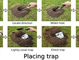 Gopher Trap (Pack of 2) LASSO TRAP Galvanized & Oil Hardened Steel//Super Cost-Effective, Reusable, & Durable Animal Trap Best in The Lawn, Yard, Garden, Farm, & All Outdoor Settings w/Manual