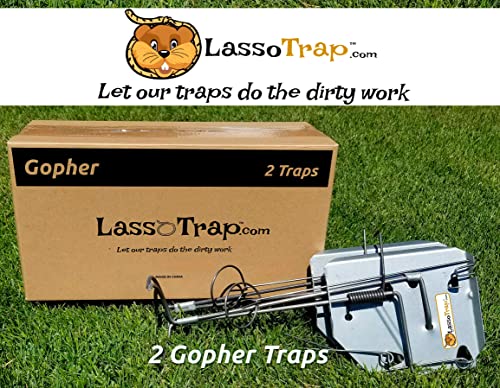 Gopher Trap (Pack of 2) LASSO TRAP Galvanized & Oil Hardened Steel//Super Cost-Effective, Reusable, & Durable Animal Trap Best in The Lawn, Yard, Garden, Farm, & All Outdoor Settings w/Manual