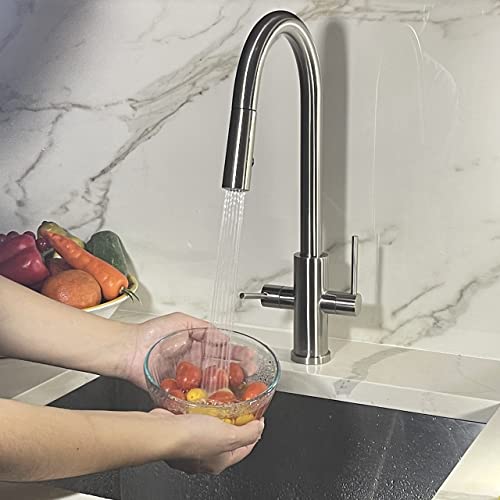 Luna&Muni,Kitchen faucets Brushed Nickel,Kitchen faucets,Kitchen Faucet with Pull Down Sprayer, Kitchen Sink Faucet with 2 Handles,Kitchen Sink faucets,Kitchen Sink faucets with pullout Sprayer