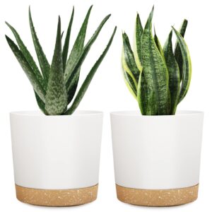 demaciya 8 inch plant pots, 2pack planters for indoor plants with drainage holes and removable base, saucer modern decorative for outdoor garden planters