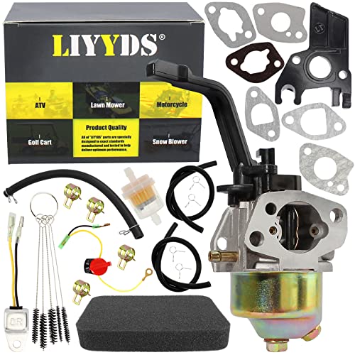 LIYYDS Carburetor Kit Compatible with Cummins Onan HomeSite Power De-Walt DG2900 DG3000 2000 2200 2400 2900 3000 3500 Watt DPD3800 DPE3800 6.5HP 5.5HP 163CC 196CC Pressure Gas Generator