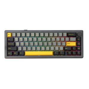 epomaker akko 3068b plus world tour r2 65% hot-swap 2.4ghz wireless/bluetooth/wired mechanical keyboard with rgb backlight, dye-sub pbt keycaps for gamers/mac/win (akko cs jelly pink)