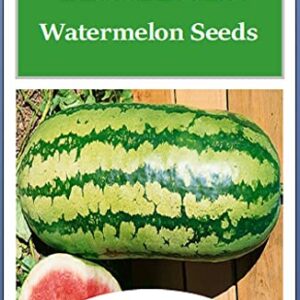 25 Garrisonian Watermelon Seeds | Non-GMO | Heirloom | Instant Latch Fresh Garden Seeds