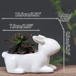 YONGYAN Rabbit Flower Pot Statue Decoration Ceramics Garden Planters Containers Pot Bookshelf Office Animal Desktop Decor